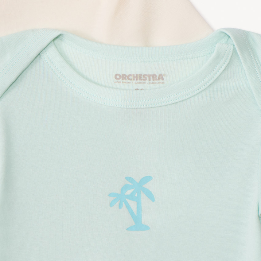 Conjunto de 5 bodies de manga corta estampados para bebé niño. | Orchestra